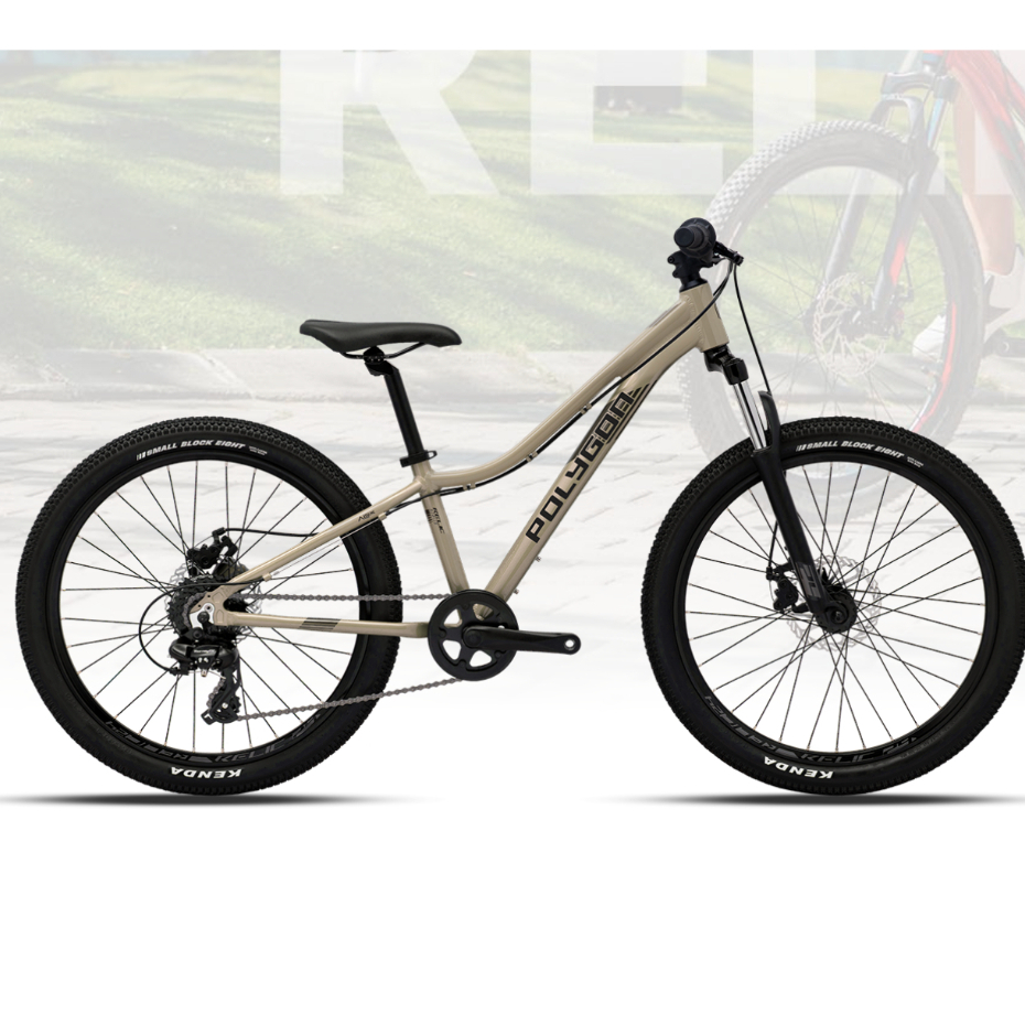 POLYGON Relic 24 inch Kids Mountain Bike MTB bicycle High Quality ...