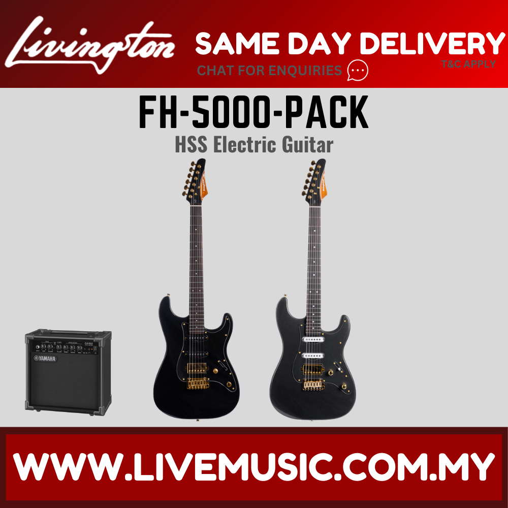 Livingston FH-5000 Stratocaster HSS Electric Guitar, Rosewood Fretboard ...