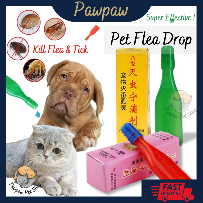 Pawpaw Pet Dog Cat Anti Flea Tick Medicine Treatment Drop Hama Obat ...