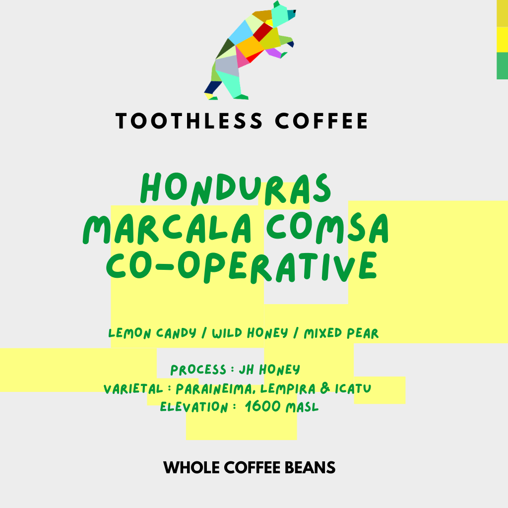 Honduras Marcala Comsa Co-Operative 🐻 TOOTHLESS COFFEE | Shopee Malaysia