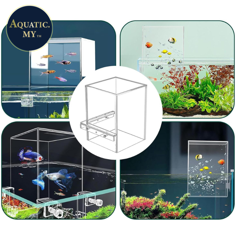 Negative Pressure Fish Tank Fish Elevator (NEW)/ 鱼缸负压缸 / Tangki Ikan ...