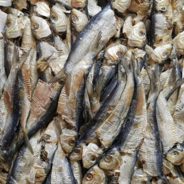 Ikan Masin Ikan Tambang Bersisik | Shopee Malaysia