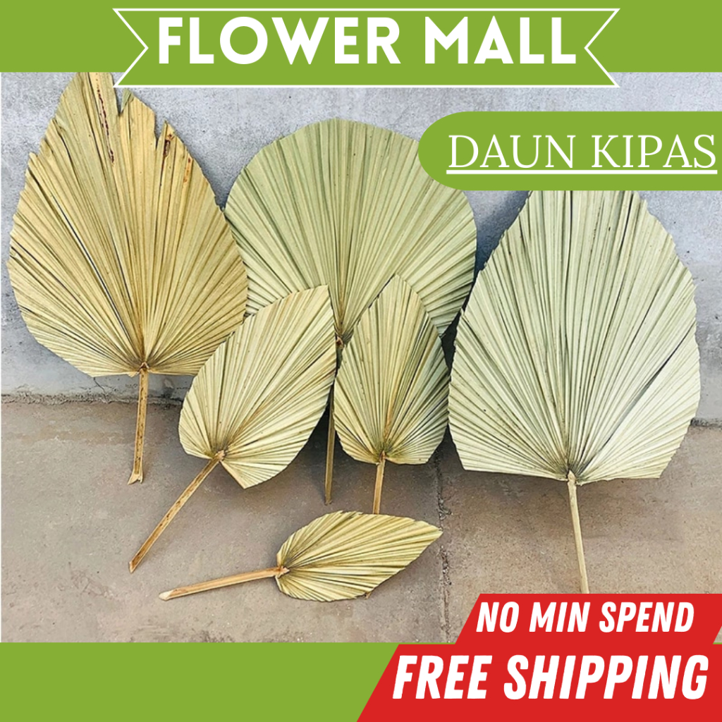 DAUN KIPAS Kering Dry Leave Artificial Flower Wedding Decoration Bunga ...