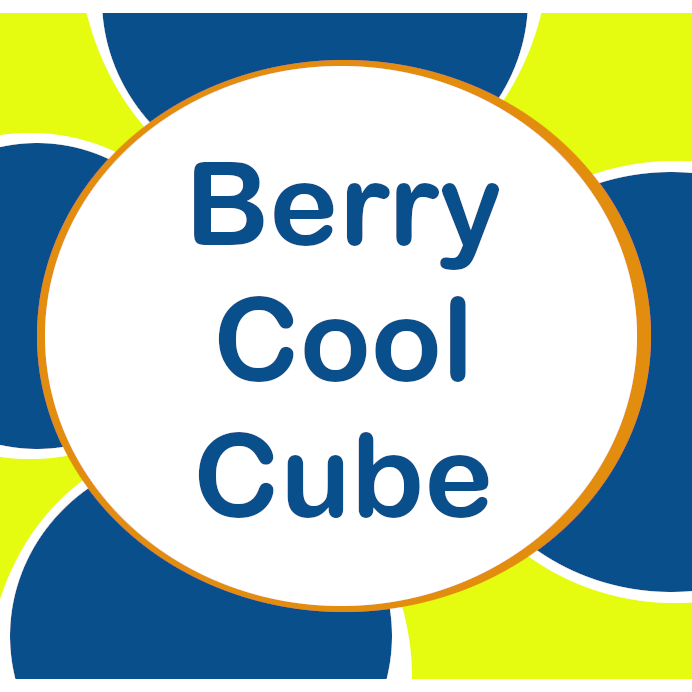 A.D.M - BERRY COOL CUBE IN TYPE N1 GAME EDITION (PC GAME) | Shopee Malaysia