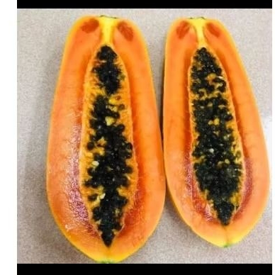 Buah betik organic 2biji rm11,sebiji sekilo | Shopee Malaysia