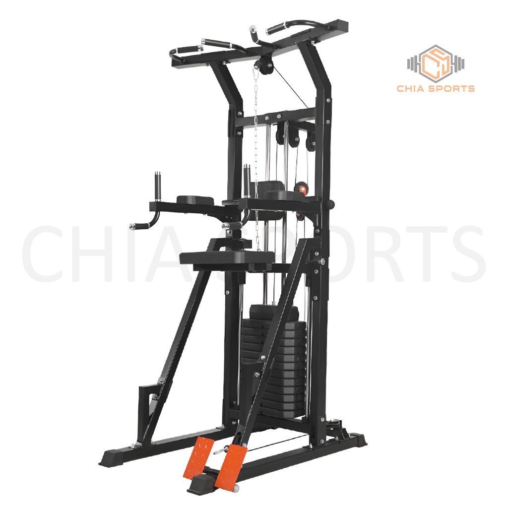 Assisted Chin & Dip Machine Pull Up Leg Raise Lat Pulldown Tricep ...