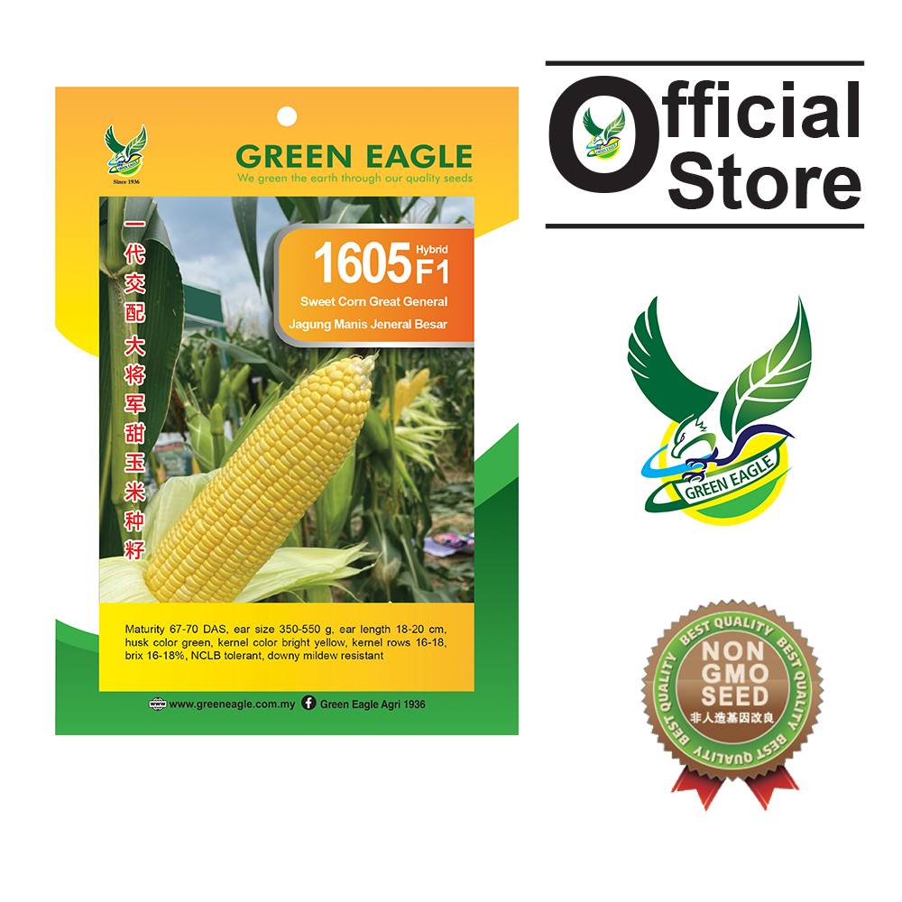 GE 1605 F1 Hybrid Sweet Corn Great General Seeds [5g] | Shopee Malaysia