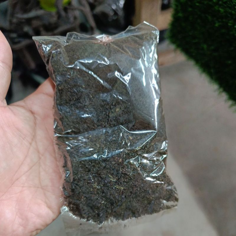 habuk teras Kemuning hitam asli. berat 50g | Shopee Malaysia