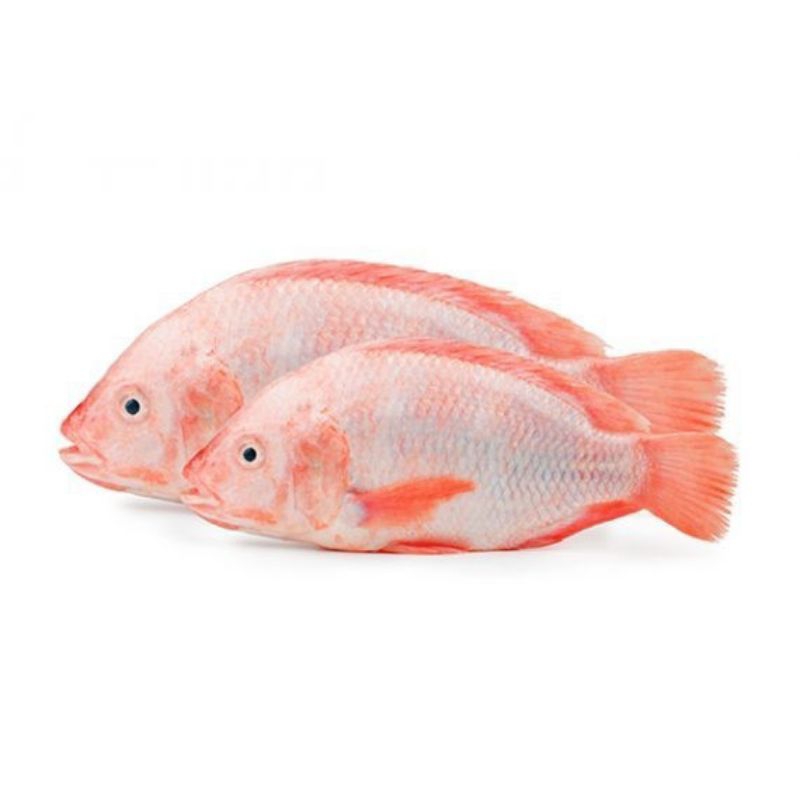 Ikan Talapia Merah (1kg) | Shopee Malaysia