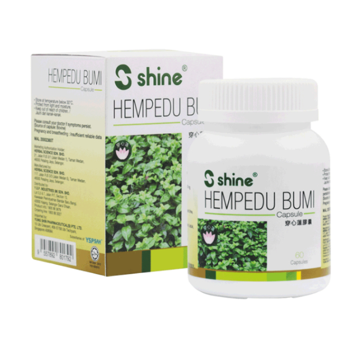Shine Hempedu Bumi used to relieve fever, cough, flu and sore throat ...