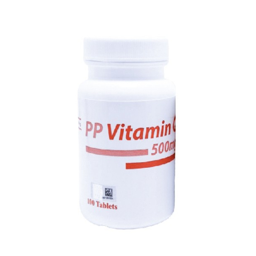 PP VITAMIN C 500MG - 100 TABLETS | Shopee Malaysia