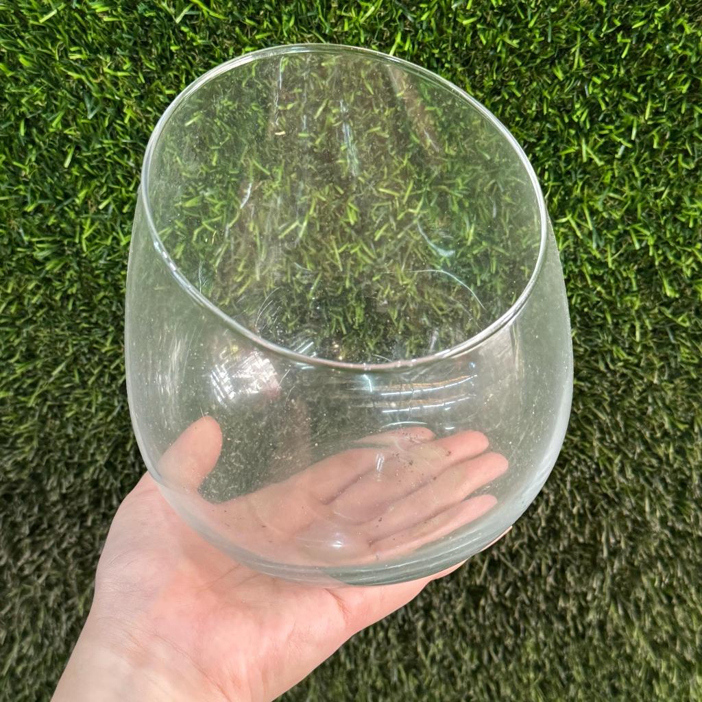 GPS Green Plant Society GPOT Slanted Cut Transpae Glass Bowl Pot ...