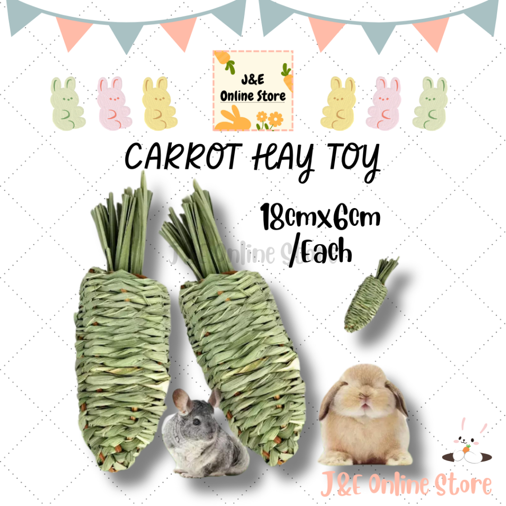 [Ready Stock] Carrot Hay Toy (For Rabbit / Guinea Pig / Chinchilla ...