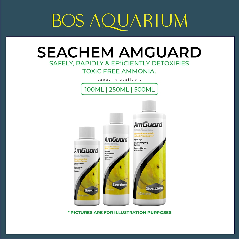 Seachem AmGuard - Ammonia Remover Am Guard ( 100ml / 250ml / 500ml ...
