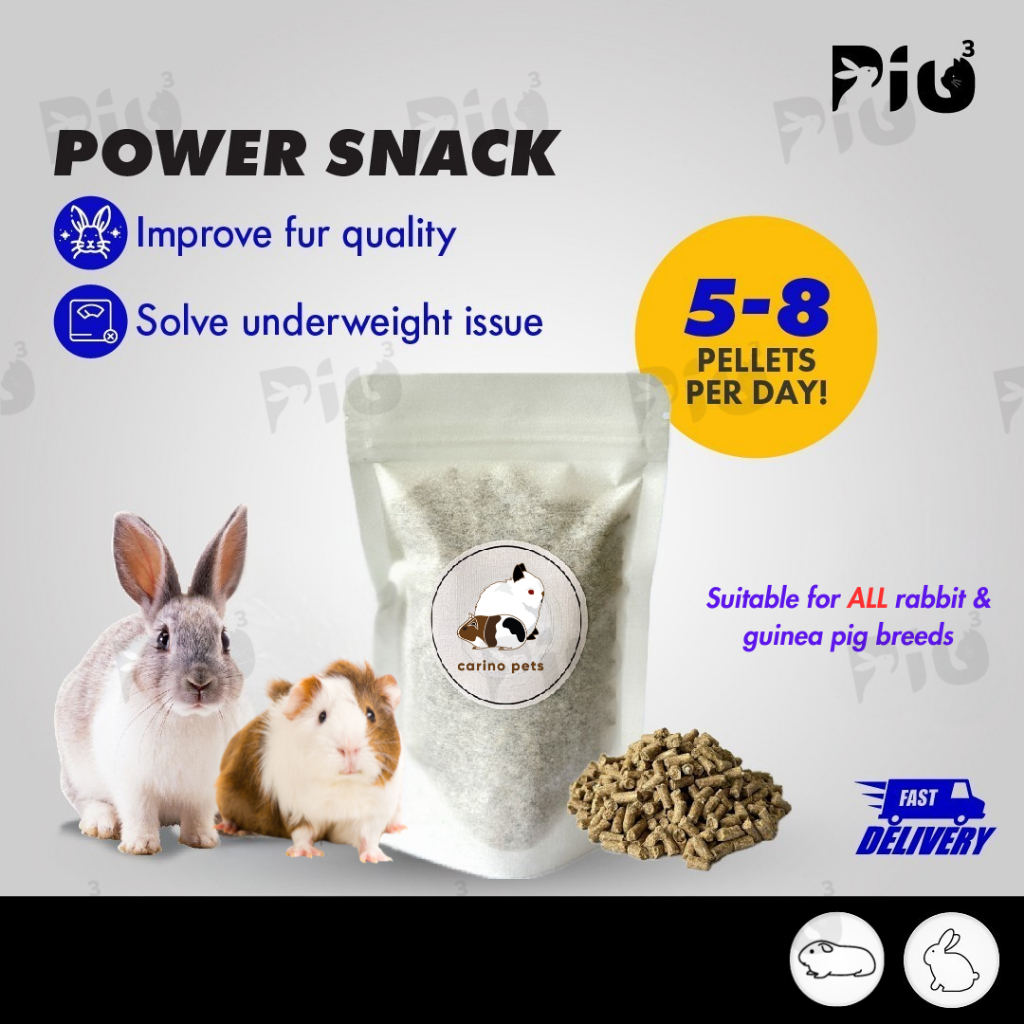 [24HR SHIP] CARINO PETS POWER SNACK 100G Rabbits Skin & Coat Supplement ...