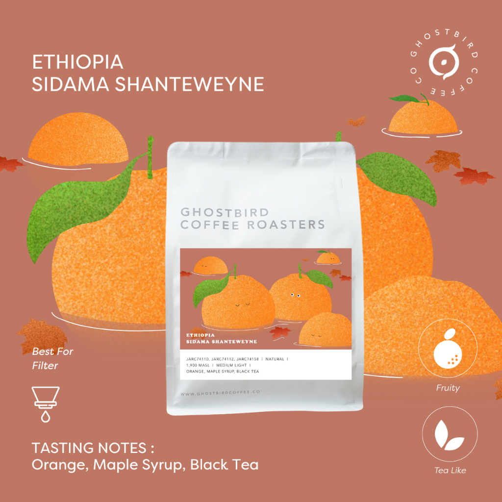 Ethiopia Sidamo Shanteweyne [Natural]🦉GHOSTBIRD COFFEE (Freshly roasted ...