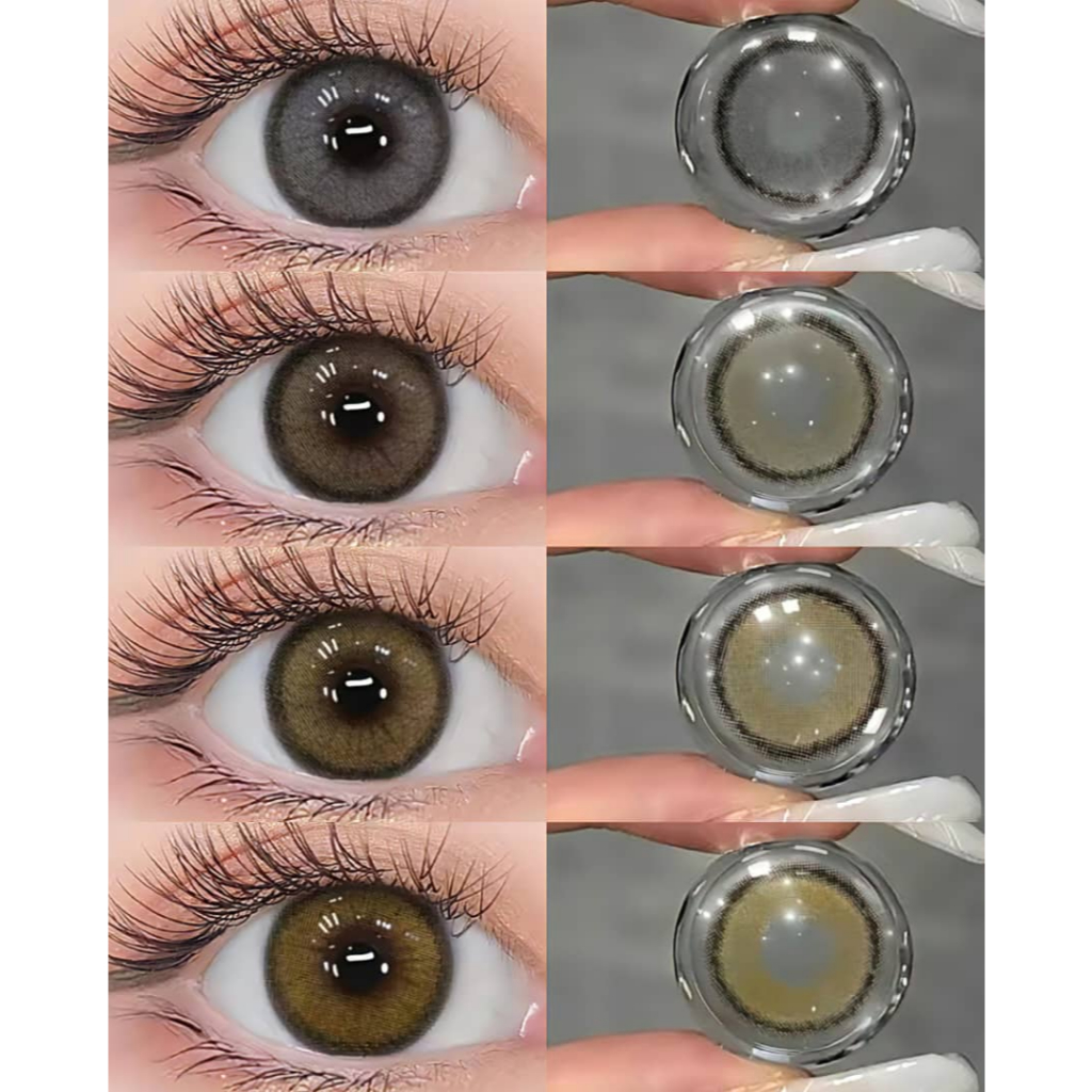 【Power 0~600】ROZE 14mm Contact Lens 6Month Disposable Korea Lens Free ...