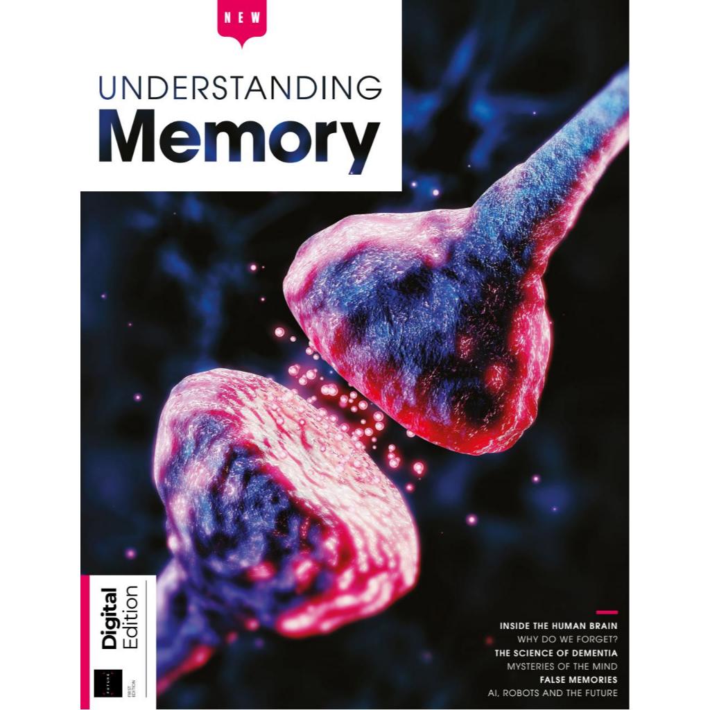 Understanding Memory : How It Works and How to Improve It | Shopee Malaysia