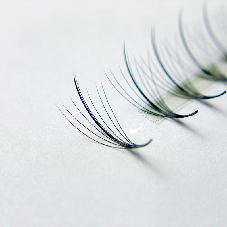 Nini Lashes 7D Kim K Volume Premade Fan Katun Lash | 0.07mm | Best ...