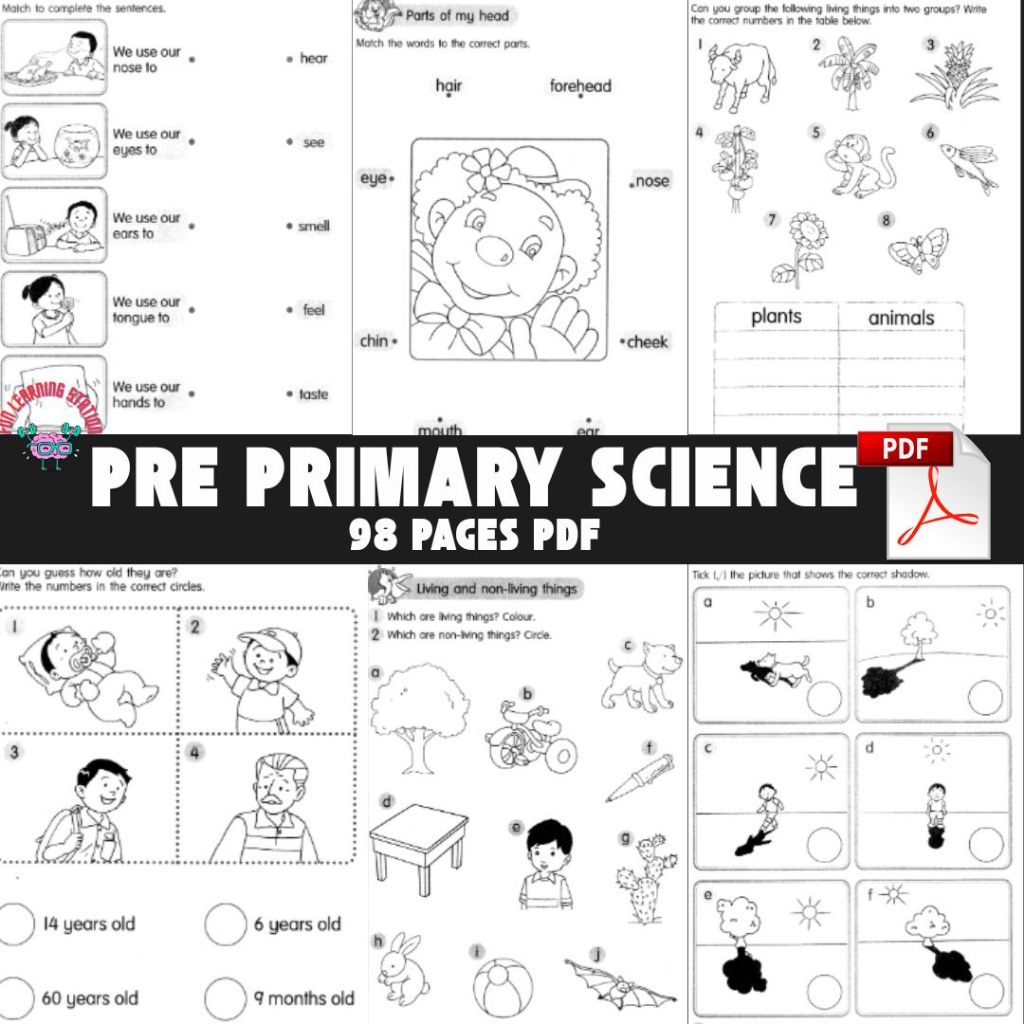 [285] Science Worksheet for Pre Primary Kindergarten Kindergarten l ...