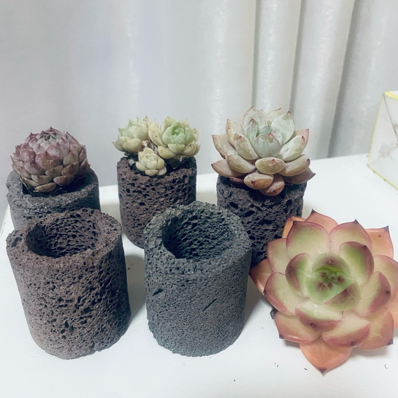 Larva Rock Pot(small) -火山石盆（小） | Shopee Malaysia