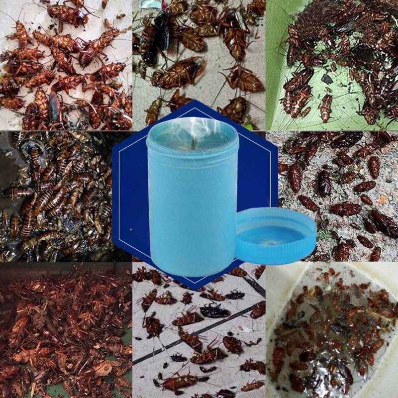 Bekas Asap Pembunuh Serangga KECIL KUTU LIPAS LALAT NYAMUK LIPAN LABAH ...
