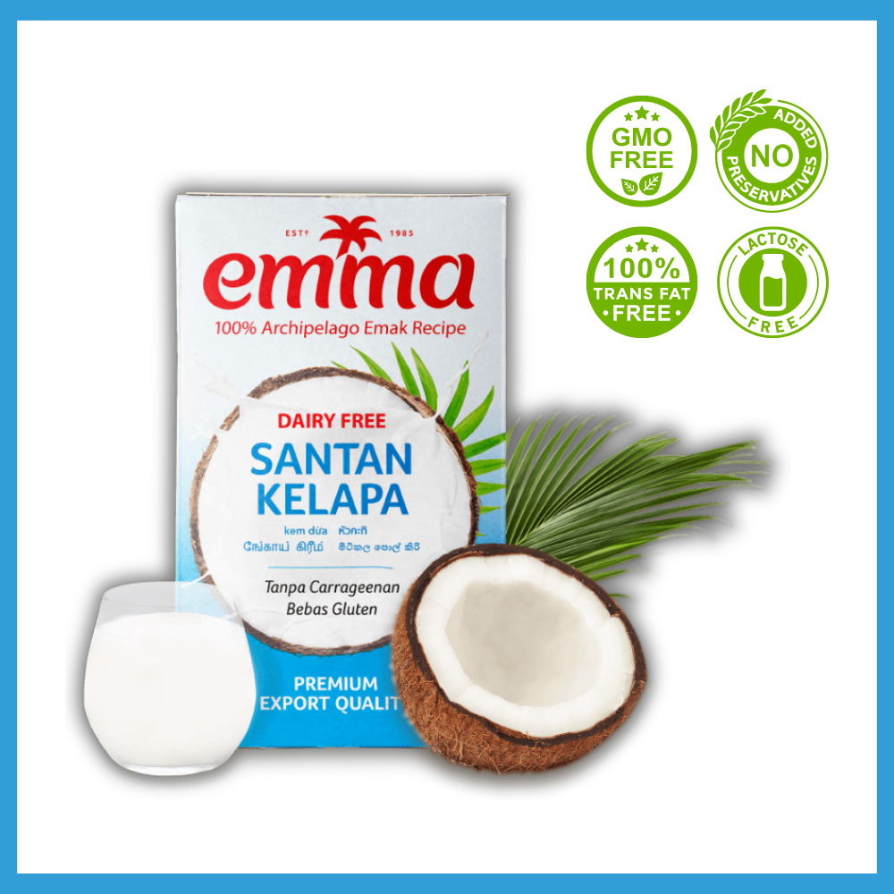 Emma Dairy Free UHT Santan Kelapa Coconut Milk Rich Creamy Low Fat Milk ...