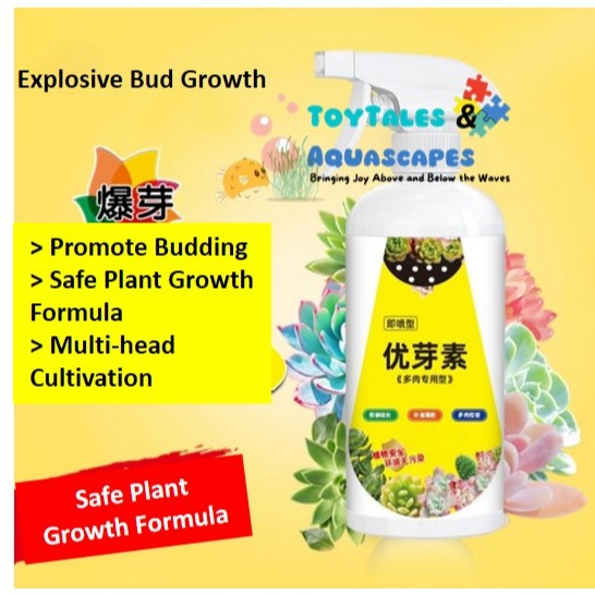 Succulent Budding Solution for Multihead Budding, Stimulate New Growth ...