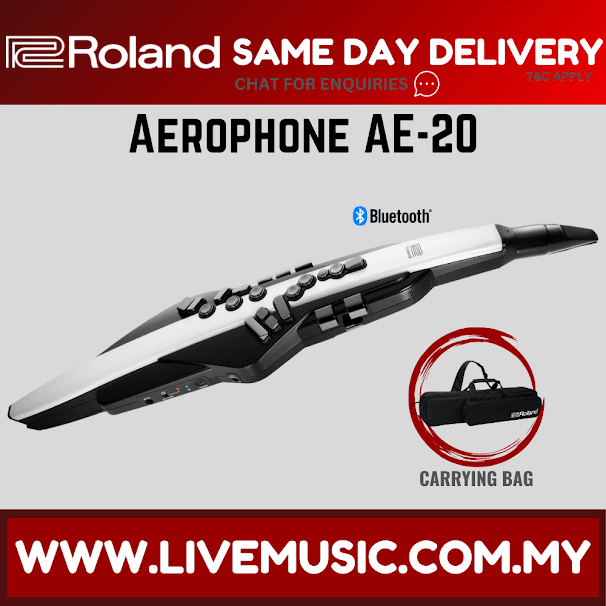 Roland Aerophone AE-20 Digital Wind Instrument ( AE20 ) | Shopee Malaysia