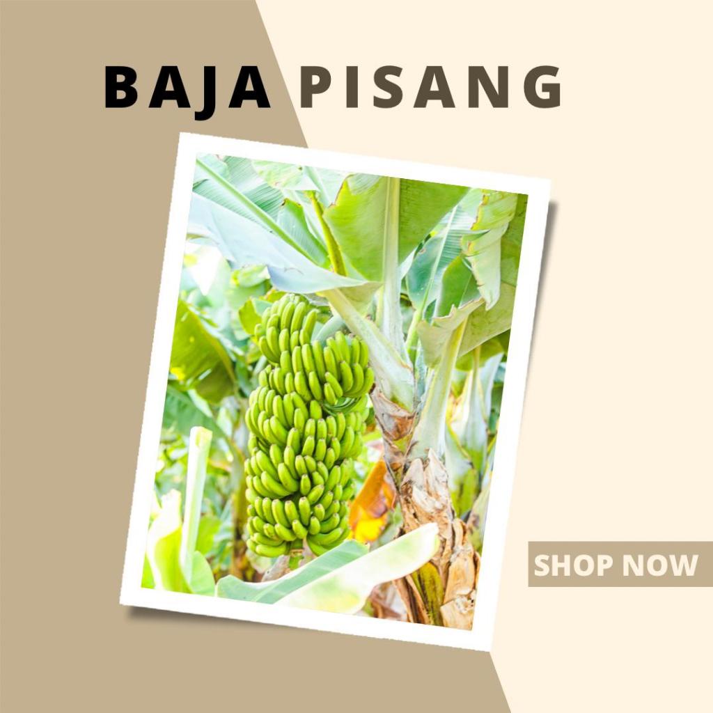 BAJA BUAH PISANG PREMIUM (REPACK) BAJA PAKSA BUAH UNTUK SEMUA JENIS ...