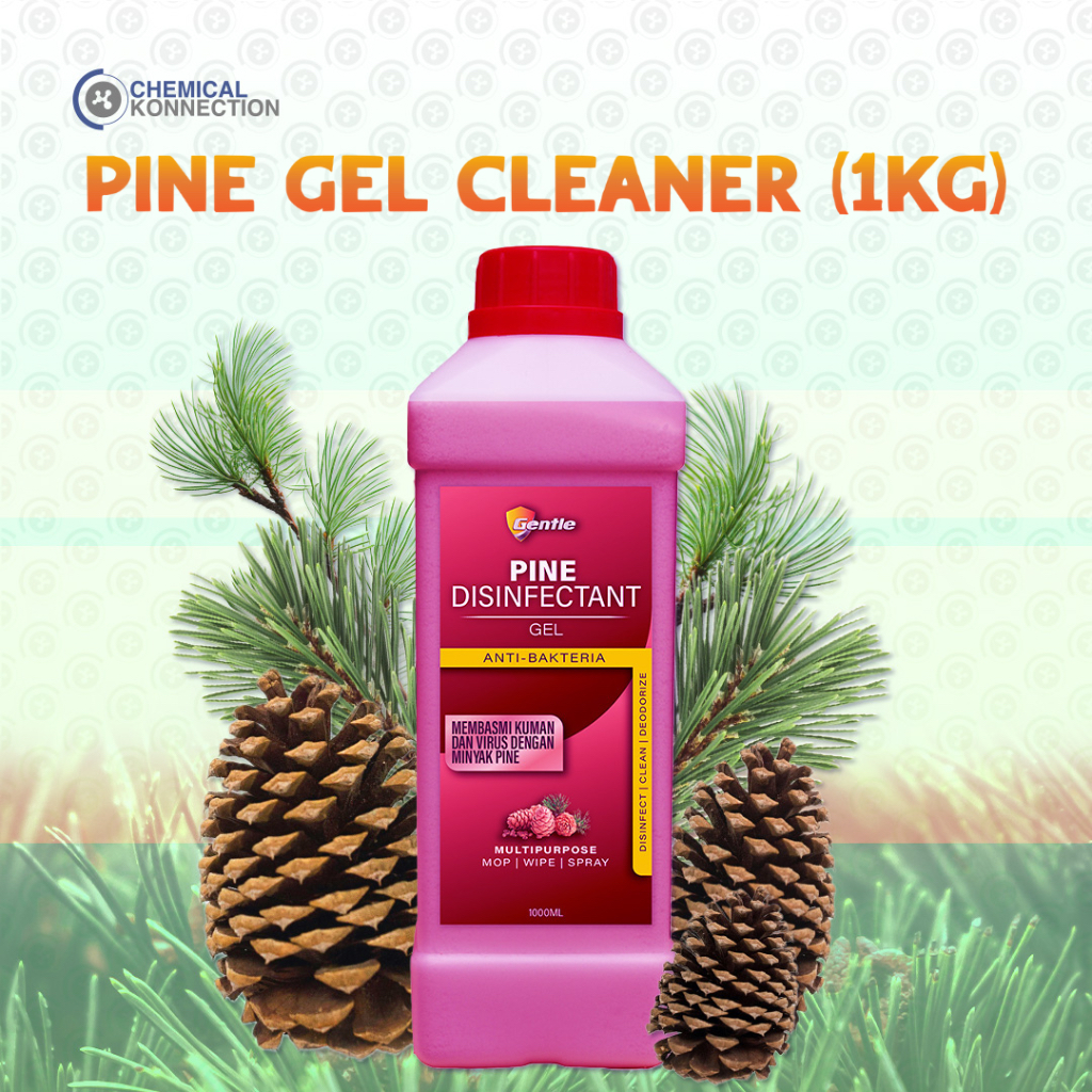 CHEMICALK 🔥 Pine Gel Disinfectant 1KG | For Bathroom | Powerful ...
