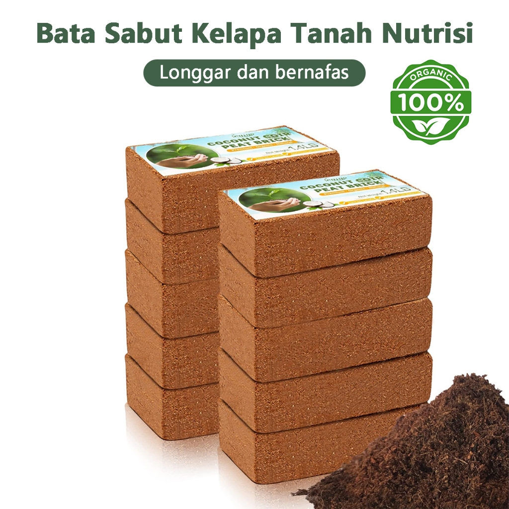 500g Bata Sabut Kelapa Tanah Nutrisi, Tanah Kelapa Bebas Kuman dan ...