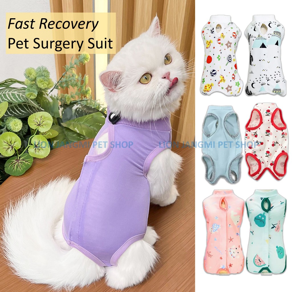 Selepas Surgeri - Baju Kucing Jantan Betina Mandul - Pet Cat Recovery ...