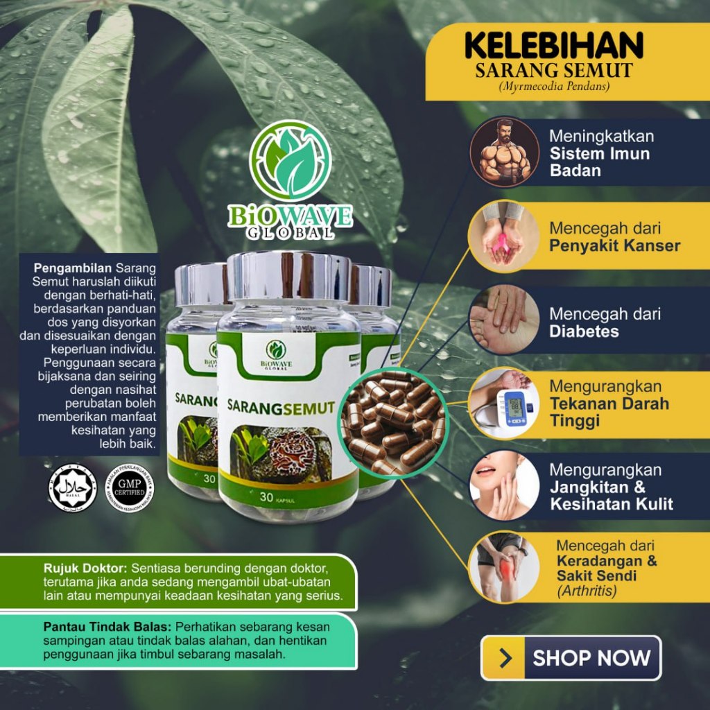 Direct HQ - Biowave Global Kapsul Sarang Semut Spirulina Raja Satong ...
