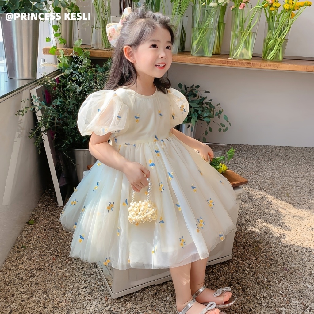 PRINCESS KESLI 1-9 Tahun Dress Budak Perempuan Baju Gaun Baby Girl ...