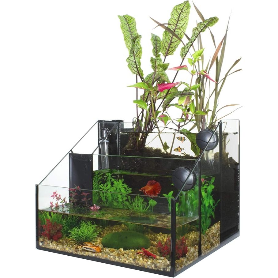 Penn-Plax Triad AquaTerrium Fish Tank (REPTT7) – 3 Chambers, 1 ...