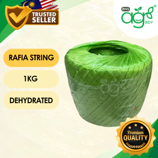 Beli tali rafia Dalam Talian Dengan Harga Terbaik Jan 2026 | Shopee ...