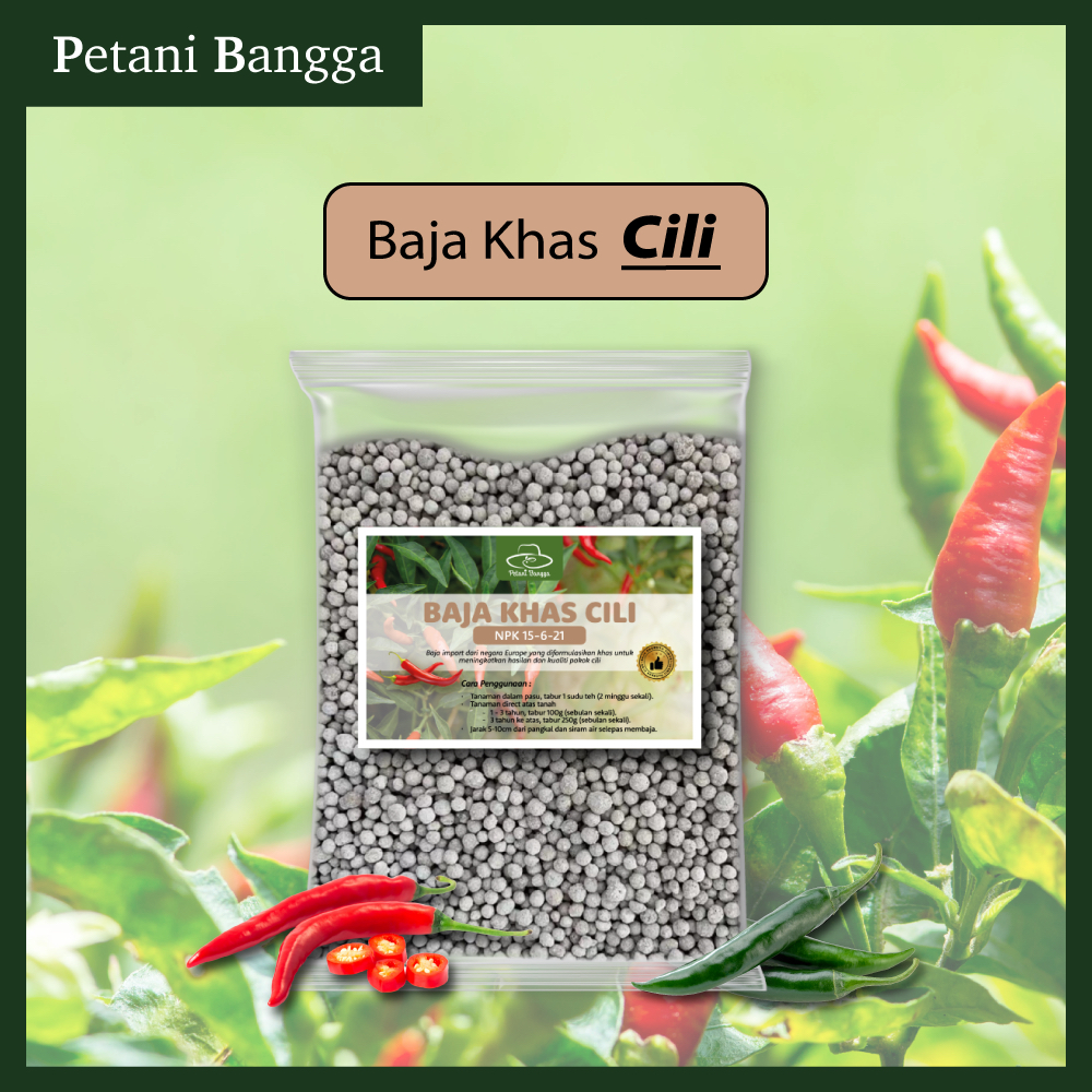 [KHAS SERIES] BAJA KHAS CILI | Baja Premium & Import | Baja 15-6-21 ...