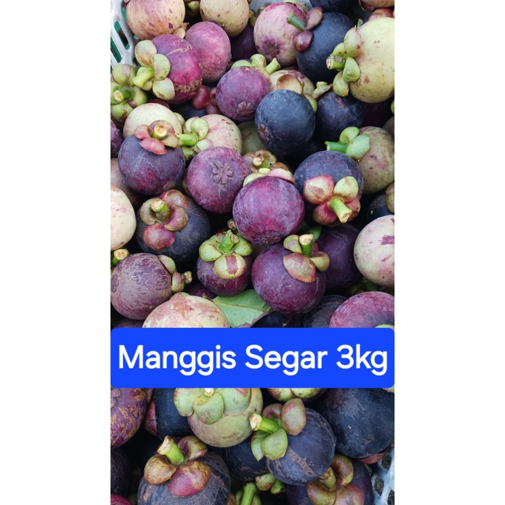 Manggis Mangosteen 3kg Musim May 2025 ( 40 - 60 biji ) | Shopee Malaysia