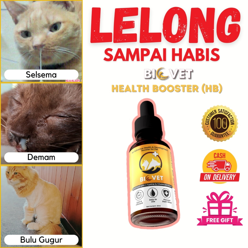 [ORIGINAL] Biovet Health Booster 30ml Vitamin Kucing Flu, Bersin ...