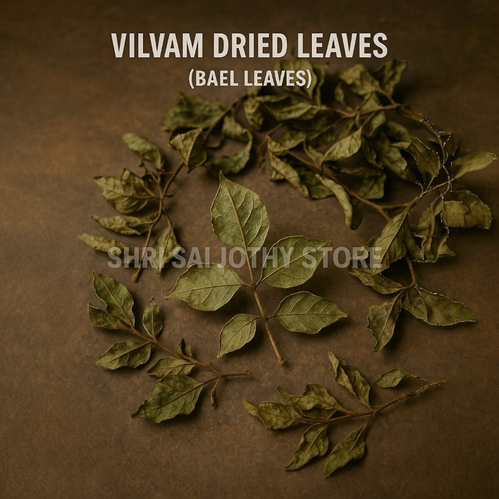 🌿 Dried Dry Vilvam Leaves | Bael Leaves | Sacred Pooja Offering | 100% ...