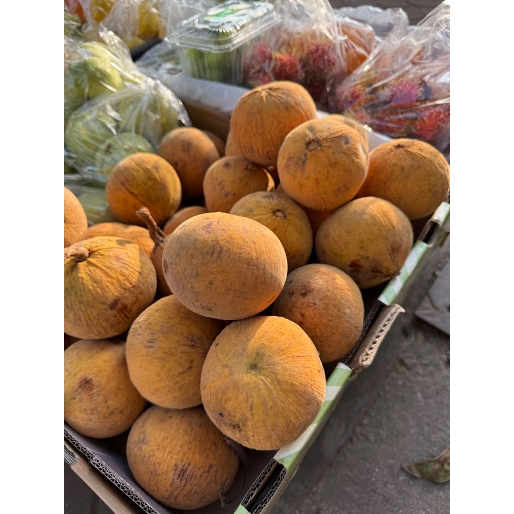 1KG BUAH SENTOL BANGKOK Buah Sentul Buah Setoi Buah Seto Buah Sentol ...