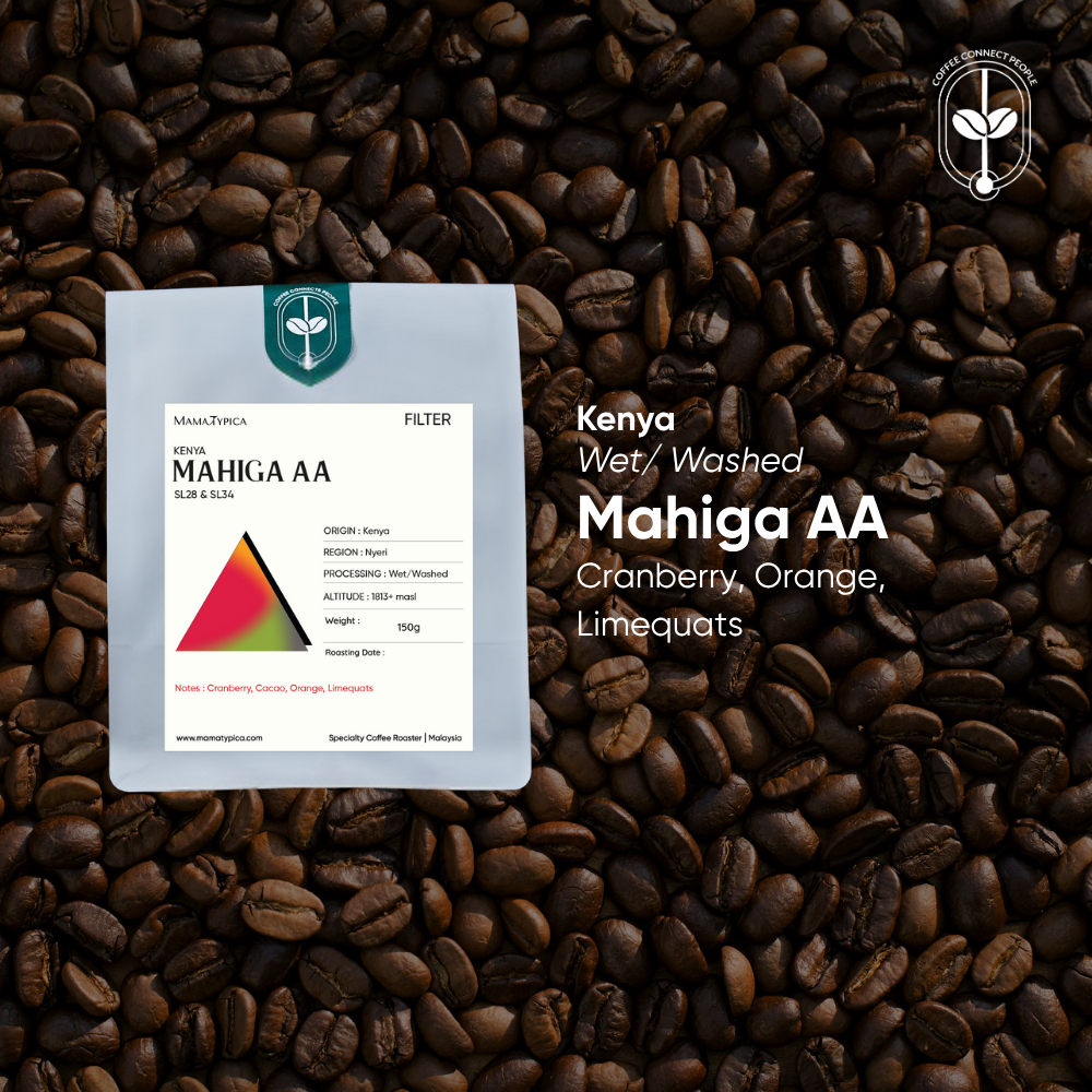 Kenya Mahiga AA Washed - Mama Typica (Filter Coffee) Arabica Coffee ...
