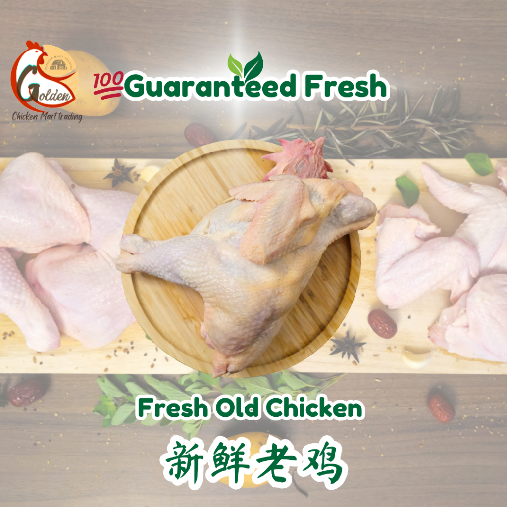 Fresh Old Chicken 新鲜老鸡 Ayam Tua 1kg+ | Shopee Malaysia