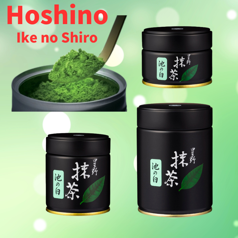 Hoshino Matcha Green Tea Ike no Shiro 20g 40g 100g Japanese Tea Matcha ...