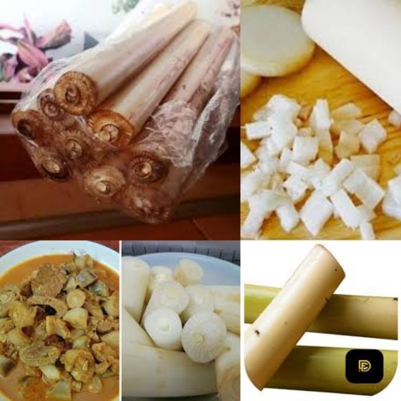 Keretan Umbut Batang Pisang Untuk Masak Gulai | Shopee Malaysia