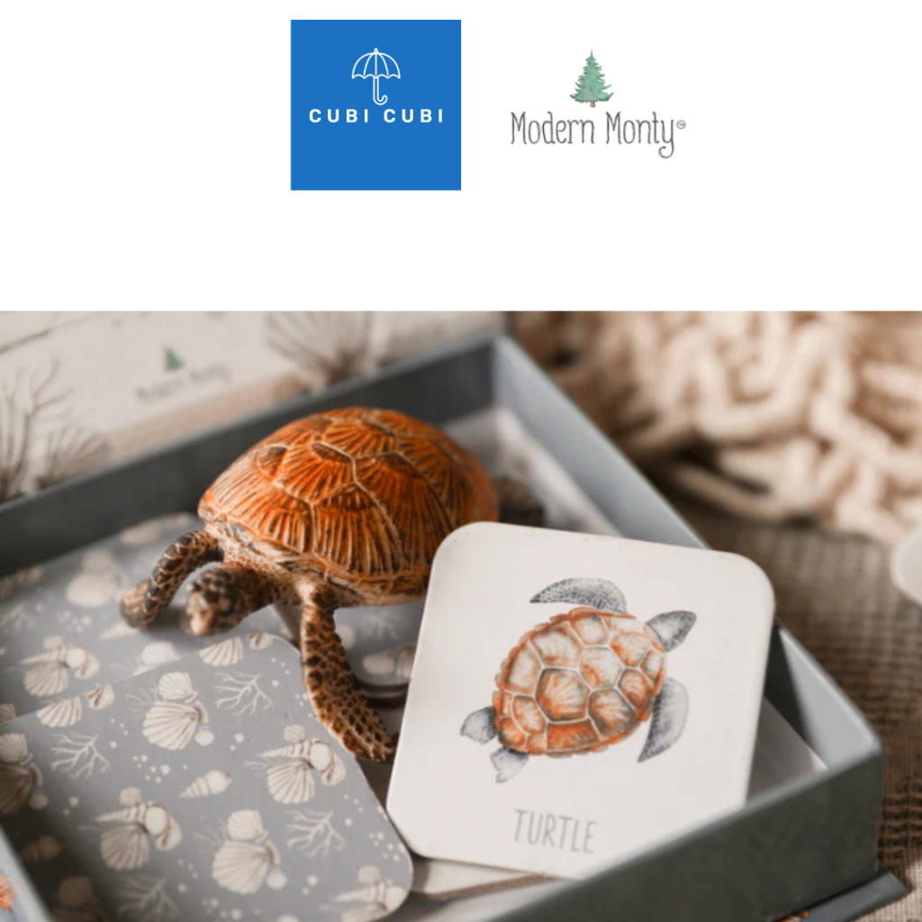 Modern Monty | Ocean Memory Card Game//Marine Wildlife: 24 cards (3Y ...