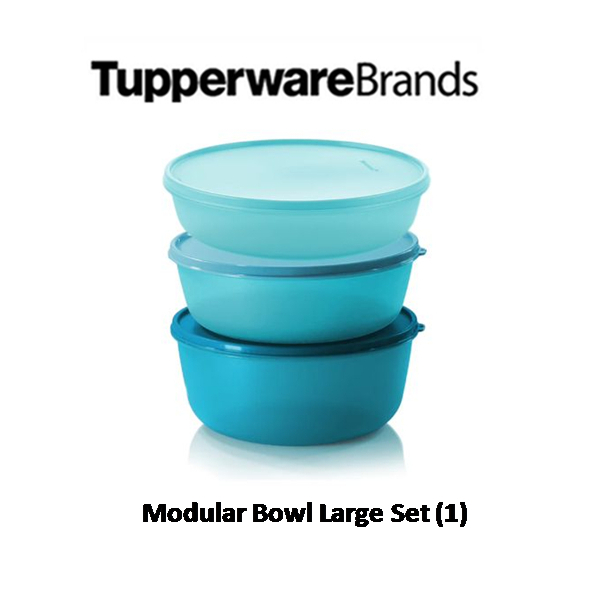 Modular Bowl Large Set (1) | Shopee Malaysia