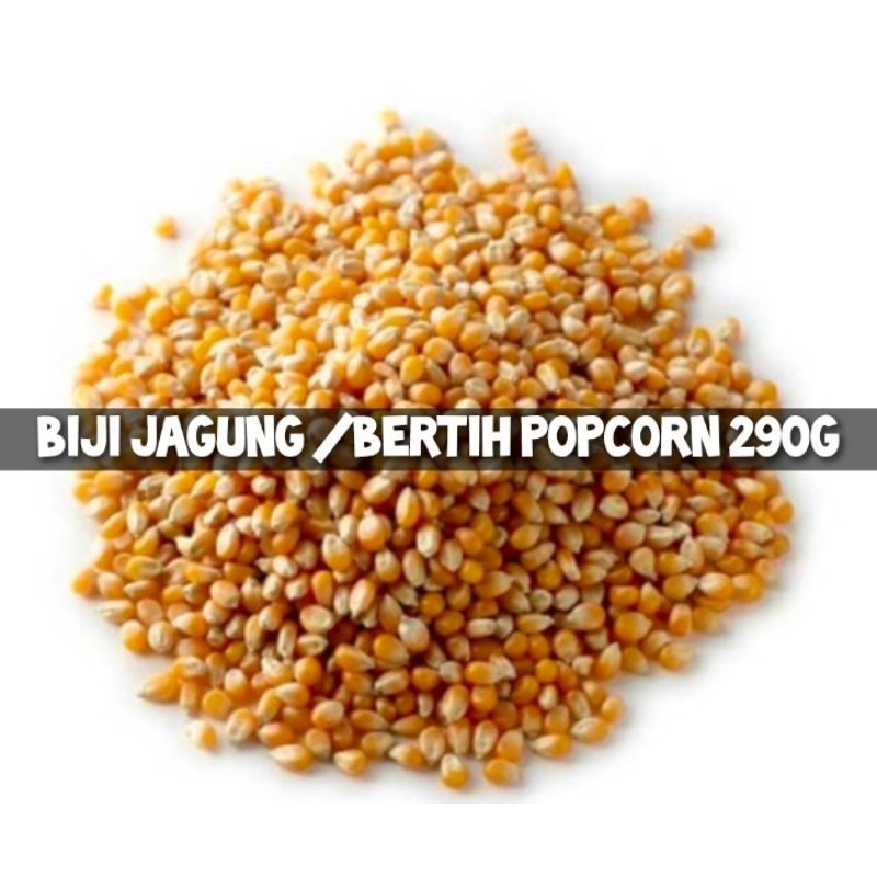 Bertih Jagung Kernel/ Popcorn Seeds Repack 290g | Shopee Malaysia