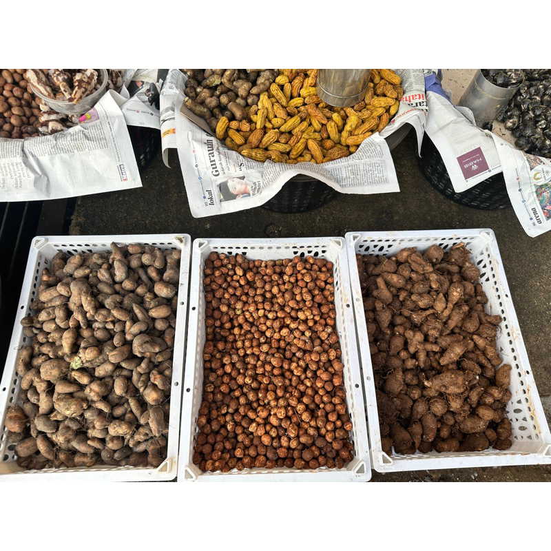 UBI KEMILI | UBI KELING | UBI KELADI CINA | KACANG POI | KELADI CINA ...